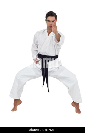 Portrait of fighter performing karate stance Stock Photo - Alamy