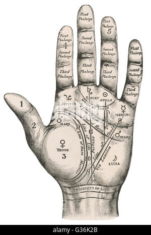 Palmistry, Apollo and Mercury Lines Stock Photo - Alamy