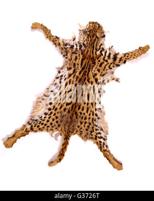 colorful tiger pelt, animal fur background with black stripes Stock ...