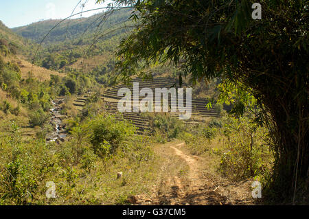 Asian Myanmar, Kengtung, Loimwe, Paddy fields in Eastern Myanmar Stock ...