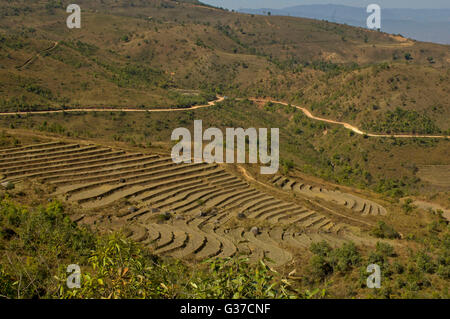 Paddy fields in Eastern Myanmar Stock Photo - Alamy