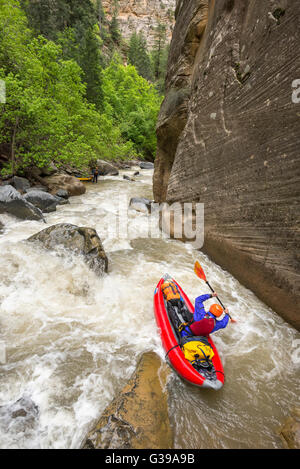 Canyon Creek in Washington Stock Photo - Alamy