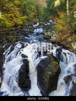 Autumn Colors, Dunkeld Stock Photo - Alamy
