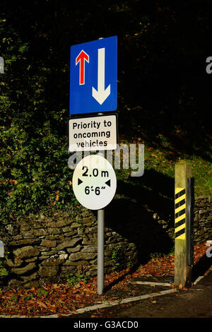 uk road sign oncoming traffic has priority ahead facing coming Stock ...