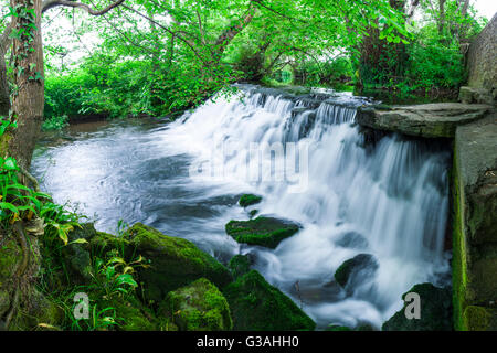 Tumbling Weir on the River Yeo at Wrington, North Somerset, England ...