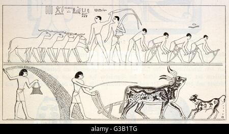 ANCIENT EGYPT FARMING Stock Photo - Alamy