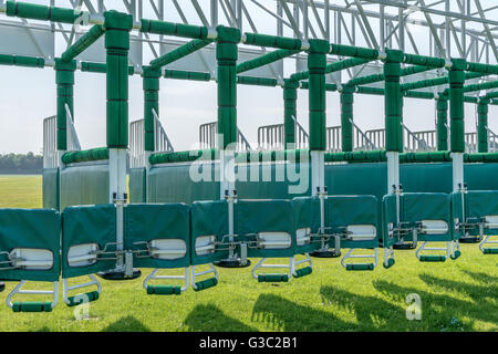 Horse racing starting gate Stock Photo - Alamy