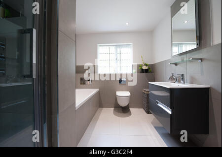 Beautiful contemporary bathroom Stock Photo - Alamy