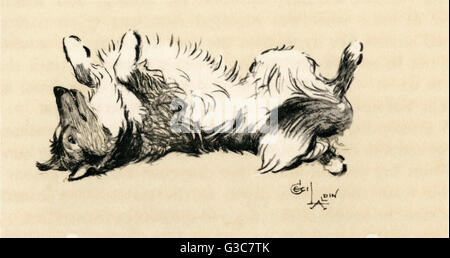 Illustration by Cecil Aldin, fox terrier posing as model Stock Photo ...
