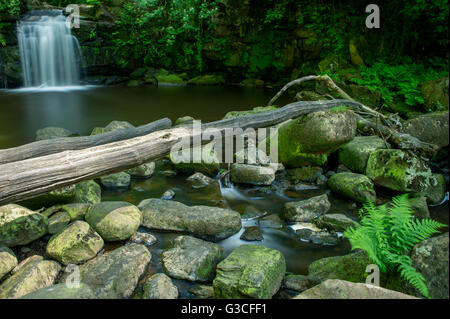 Thomason Foss, Beck Hole, Goathland, North Yorkshire Moors National ...