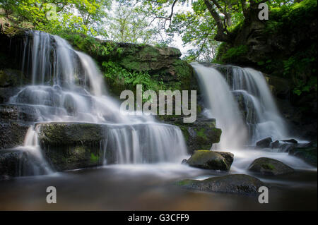 Water Arc Foss (Upper Thomason Foss) waterfall between Goathland and ...