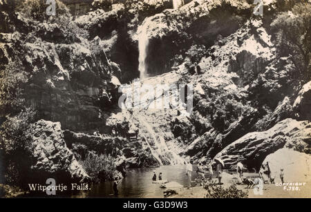 Walter Sisulu National Botanical Garden in Roodepoort near Stock Photo ...