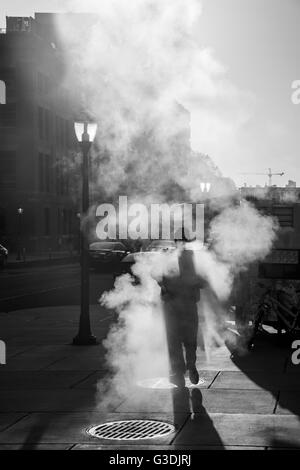 A man walks through heavy fog near the Bird Sanctuary at Ekana Stadium ...