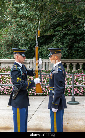 A tomb guard of the 3rd U.S. Infantry Regiment, known as "The Old Guard ...