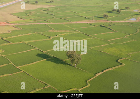 Aerial view of city of Raipur capital of Chattisgarh with its fields ...