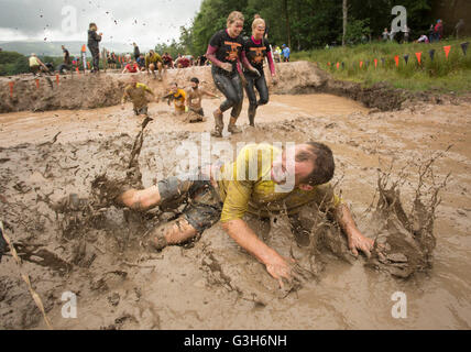 On the Mud Mile part of Tough Mudder obstacle course at Drumlanrig ...