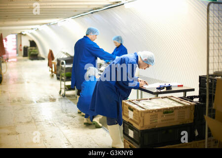 Side view of workers wearing overalls and hair nets working on ...