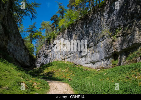 Trow Gill limestone gorge near the village of Clapham in the North ...