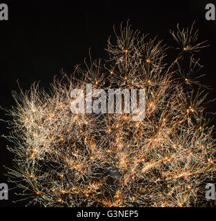 Abstract fractal image Stock Photo - Alamy