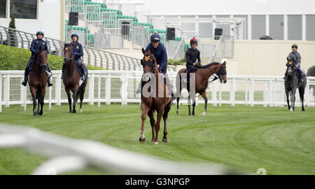 American horse racing trainer Wesley Ward watches his horses exercise ...