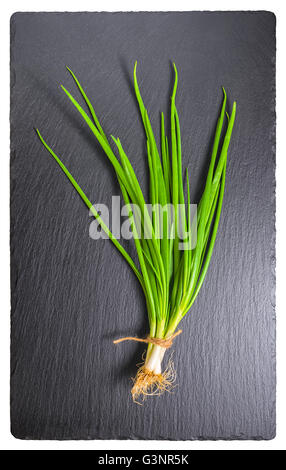 Close up of spring onion roots Stock Photo - Alamy