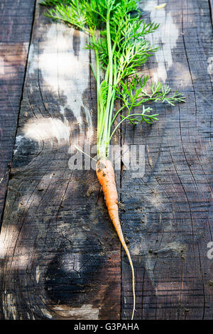 Organic Carrot On Mud Stock Photo - Alamy