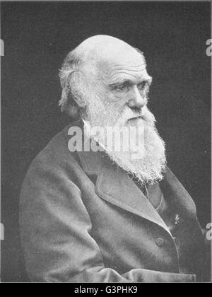 Charles Darwin book illustration Stock Photo: 20730406 - Alamy