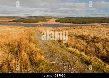 Alwen Reservoir Denbighshire Stock Photo - Alamy
