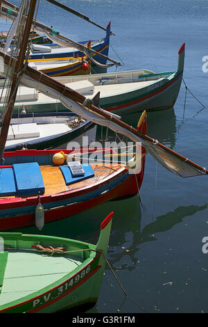 Traditional lateen-rigged fishing craft in harbour at Collioure, Côte ...