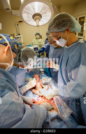 New born baby in doctor's hands Stock Photo - Alamy