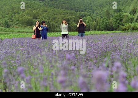 Xuanwei, China's Yunnan Province. 14th June, 2016. Tourists take photos ...