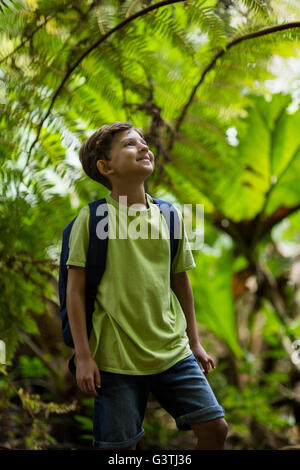 Boy standing in forest Stock Photo - Alamy