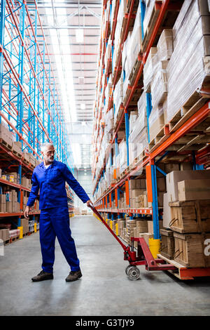 Blue manual pallet truck, industrial, warehouse equipment, isolated on ...