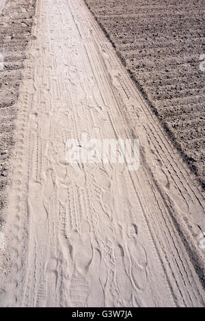 dry sand surface with many footprints and dry autumn tree leaves under ...