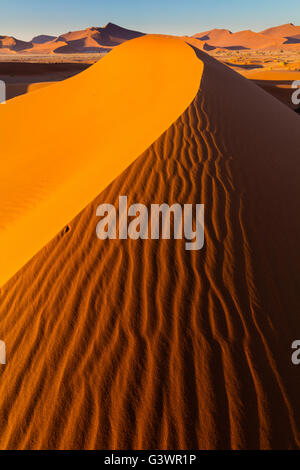Rippled sand dunes in sunset light, Ebro River Delta; Catalonia, Spain ...