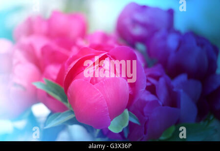 Photo retro beautiful peonies unusual natural background Stock Photo ...