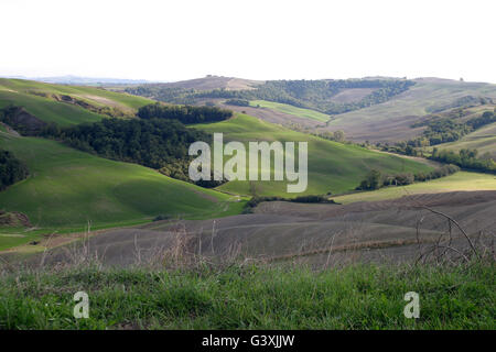a beautiful view of the "Colli Senesi", Tuscany, Italy Stock Photo - Alamy