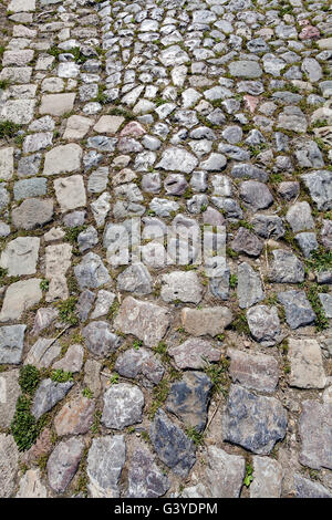 detail of cobblestone path, Kalemegdan park and Belgrade Fortress Stock ...