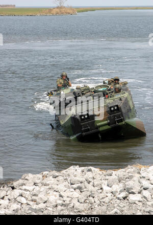 Four Amphibious Assault Vehicles (AAV) make an early morning landing on ...