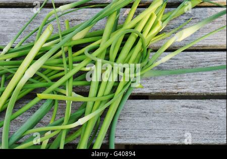 Bunches of freshly picked garlic scape stems Stock Photo - Alamy