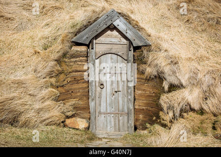 Replica of Viking longhouse, Eiríksstaðir, Iceland Stock Photo - Alamy