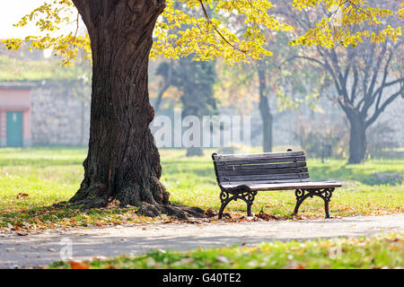 Bench under the tree in the Kalemegdan park, Belgrade Serbia Stock ...