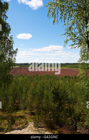 Drainage ditch at a commercial peat bog , Finland Stock Photo - Alamy