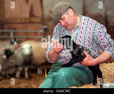 Lasting legacy of Chernobyl for dozens of British farms is the ...