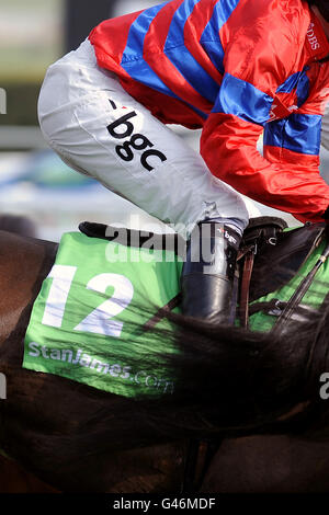 Sprinter Sacre ridden by Tony McCoy jumps the fence on his way to ...