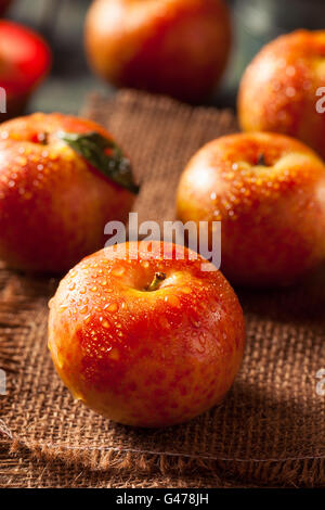 Raw Organic Dinosaur Egg Pluots Ready to Eat Stock Photo - Alamy