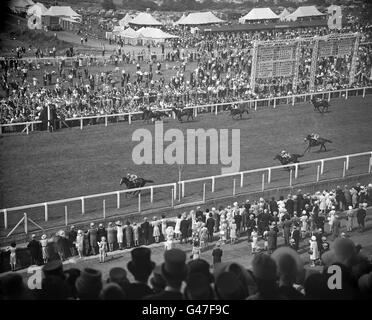 The results board at Ascot racecourse in Bulawayo, Zimbabwe. The famous ...