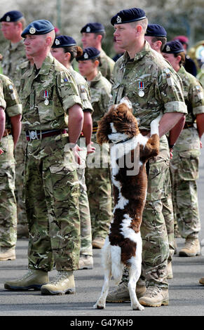 Soldiers from 104 Military Working Dog Squadron, which is part of the ...