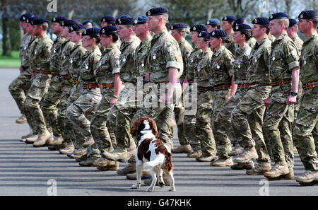 Soldiers from 104 Military Working Dog Squadron, which is part of the ...