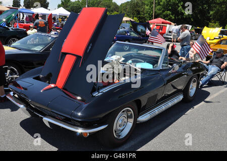 Chevrolet Corvette Stingray C2 - 1967 Model 427 Cubic inch Engine in ...